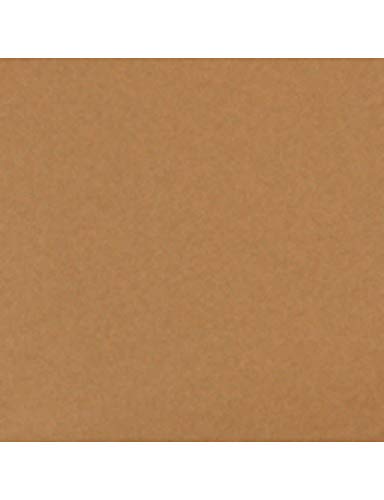 Laura Mercier Tinted Moisturizer Natural Skin Perfector SPF 30, #5W1 Tan, 1.7 oz