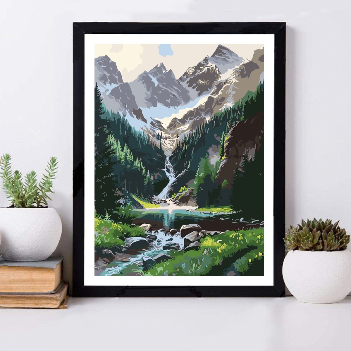 eniref Paint by Numbers for Adults, Drawing On Canvas Paintwork with Paintbrushes Acrylic Paints,Without Frame DIY Succulent Plants Oil Painting for Home Wall Decoration16x20 Inch
