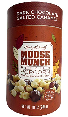 Harry & David Moose Munch Dark Chocolate Salted Caramel Premium Popcorn 10oz Canister