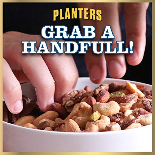 PLANTERS Deluxe Lightly Salted Mixed Nuts, Party Snacks, Plant-Based Protein 15.25oz (1 Canister)
