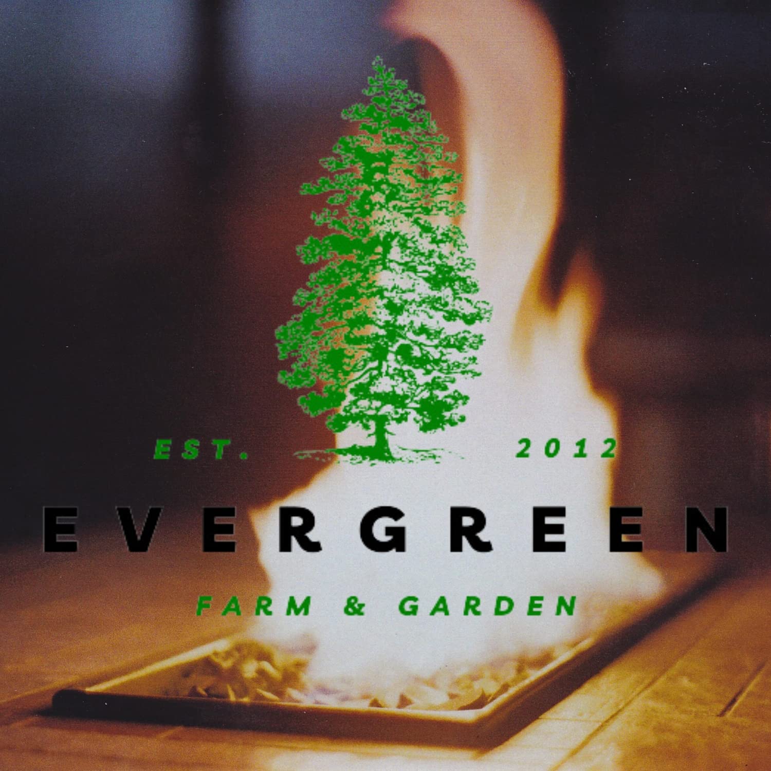 Evergreen Farm and Garden Coleman Propane Replacement Fuel Cylinders 16 oz Camping Fuel Bundled (6 Pack)