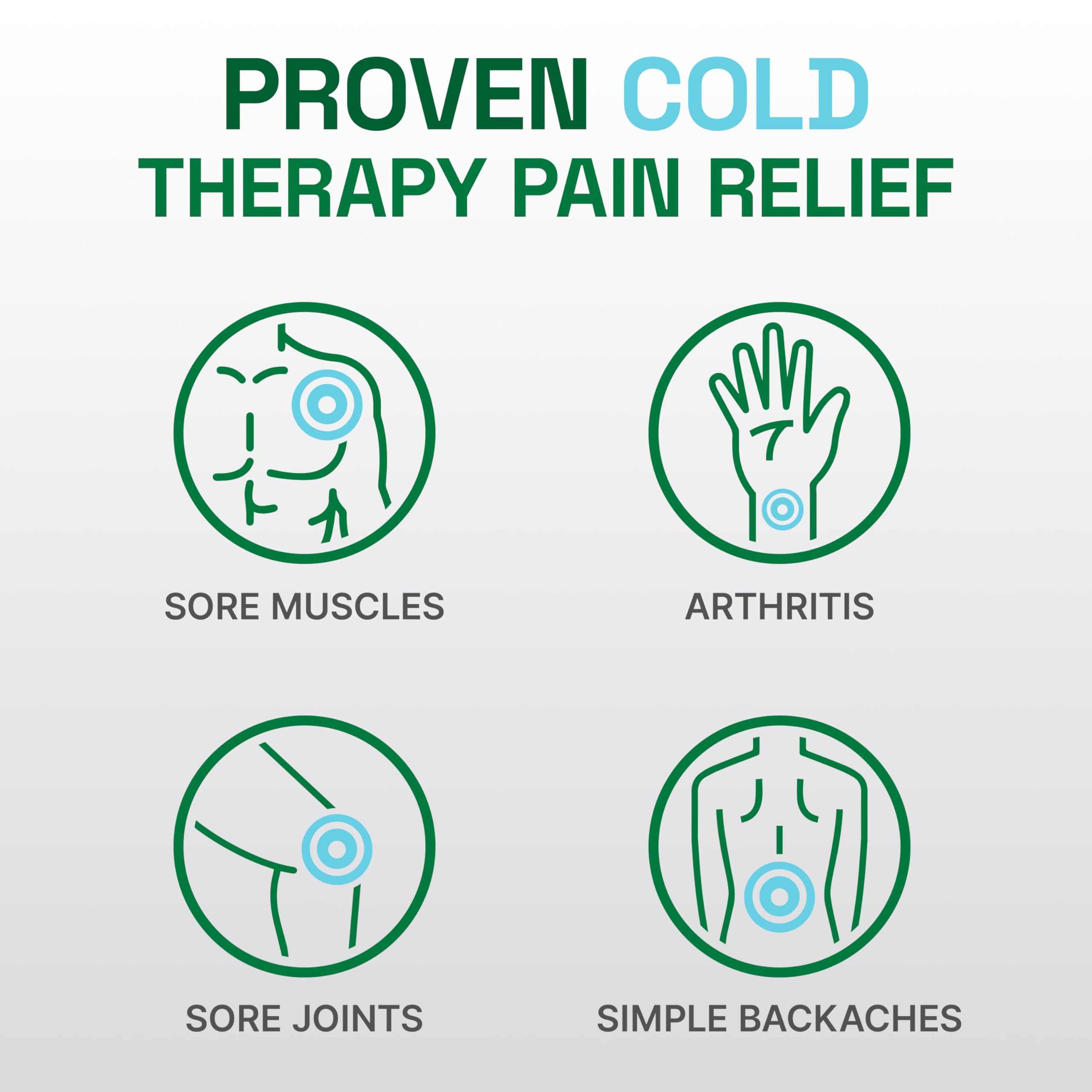 Biofreeze 13572 Professional Menthol Pain Relieving Spray 4 FL oz, Arthritis, Simple Backaches and Joint Pain, Pack of 2