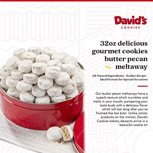 David's Cookies Gourmet Butter Pecan Meltaway with Crunchy Pecans and Powdered Sugar, All-Natural Ingredients, Kosher, Ideal Present for Special Occasions, 32 Fl Oz, Pack of 2