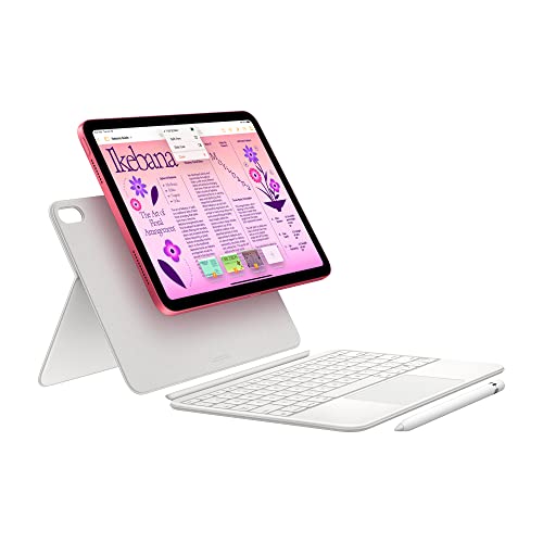 Apple 2022 10.9-inch iPad (Wi-Fi, 256GB) - Pink (10th Generation)