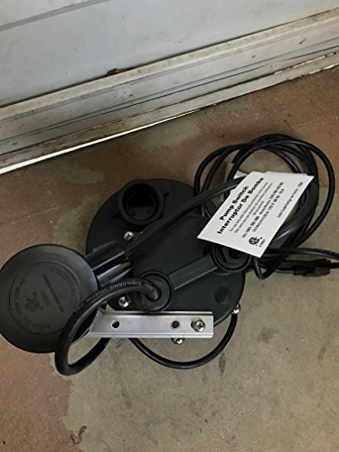 Everbilt 1/3 HP Submersible Sump Pump with Vertical