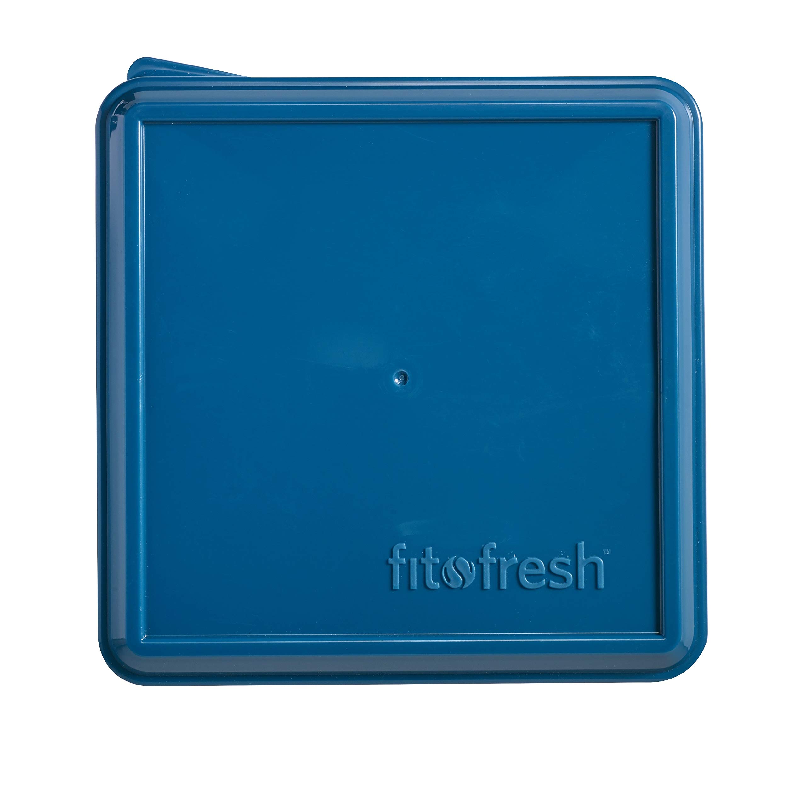 Fit & Fresh Divided Carrier with Removable Ice Lunch Pack, 5.75" x 6" x 3.625", Colors may vary