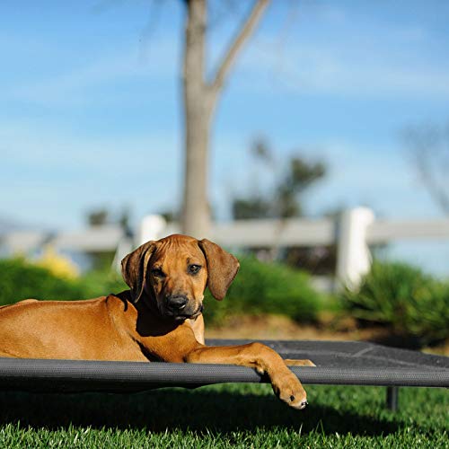Veehoo Cooling Elevated Dog Bed, Portable Raised Pet Cot with Washable & Breathable Mesh, No-Slip Rubber Feet for Indoor & Outdoor Use, Large, Black Silver