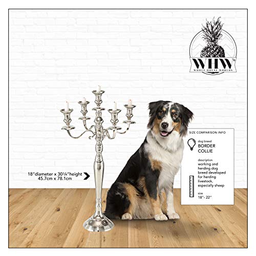 WHW Whole House Worlds Hamptons Five Taper Candle Silver Candelabra, Hand Crafted of Silver Aluminum Nickel, 2.5 Feet High, (30.75 Inches)