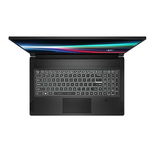 MSI Creator 17 17.3" UHD HDR1000 Mini LED Creator Laptop Intel Core i7-11800H RTX3070 16GB 1TB NVMe SSD Win10PRO VR Ready (B11UG-239)
