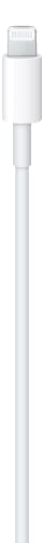 Apple USB-C to Lightning Cable (1 m)