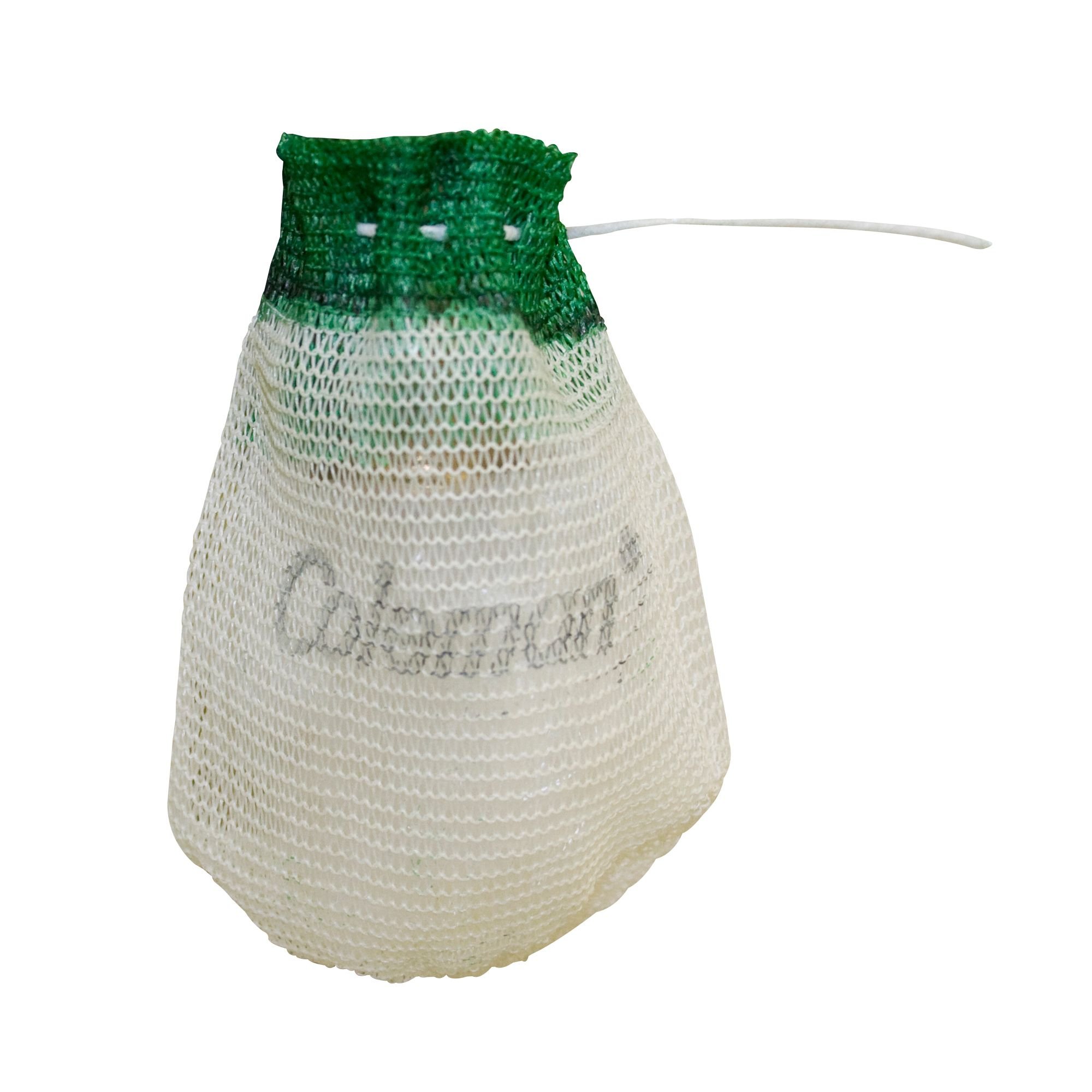 Coleman Insta-Clip Lantern Mantles, 2-Pack of #21 Wire-Twist Mantles for Fueled Lanterns, Change Mantles Easily with Twistable Wires
