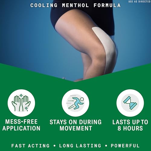 Biofreeze Pain Relief Flexible Strips Pre-Cut, 4Ct. Pain Relief for Sore Muscles, Arthritis, Backaches, Sore Joints, Sprains, Strains, and Bruises (Packaging May Vary)