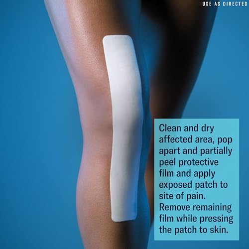 Biofreeze Pain Relief Flexible Strips Pre-Cut, 4Ct. Pain Relief for Sore Muscles, Arthritis, Backaches, Sore Joints, Sprains, Strains, and Bruises (Packaging May Vary)