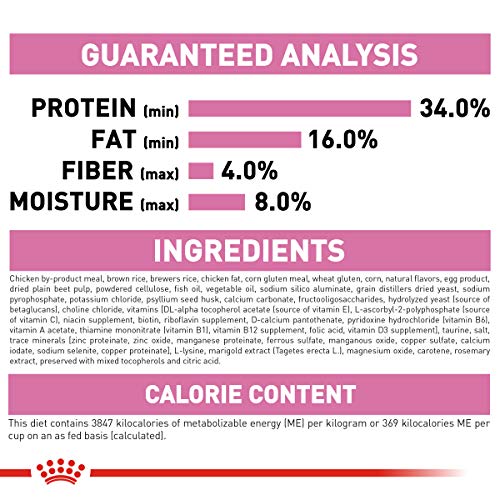 Royal Canin Feline Health Nutrition Kitten Dry Cat Food, 15 lb bag