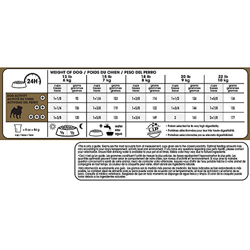 Royal Canin Pug Adult Breed Specific Dry Dog Food, 10 lb bag