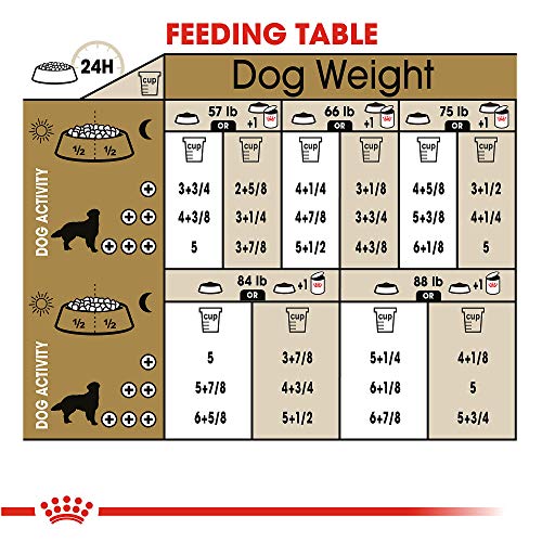 Royal Canin Golden Retriever Adult Dry Dog Food, 30 lb bag