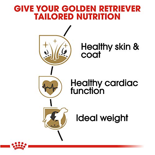 Royal Canin Golden Retriever Adult Dry Dog Food, 30 lb bag