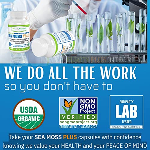 Power By Naturals USDA Organic Sea Moss Plus Bladderwrack and Burdock Root Capsules for Gut Health, Immune Support & Thyroid Supplement (Pure, No Fillers, Wildcrafted Irish SeaMoss Pills) 60Ct.