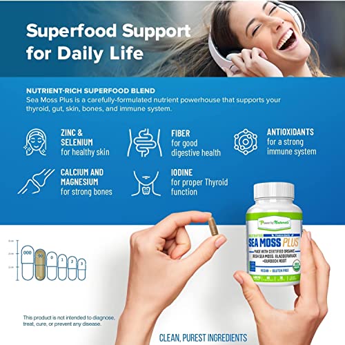 Power By Naturals USDA Organic Sea Moss Plus Bladderwrack and Burdock Root Capsules for Gut Health, Immune Support & Thyroid Supplement (Pure, No Fillers, Wildcrafted Irish SeaMoss Pills) 60Ct.