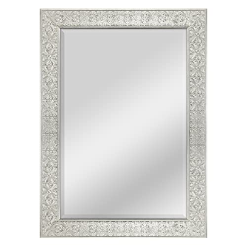 MCS 24x36 Inch Stamped Medallion Wall Mirror, 32x44 Inch Overall Size, Champagne Silver (47700), 32 by 44-Inch