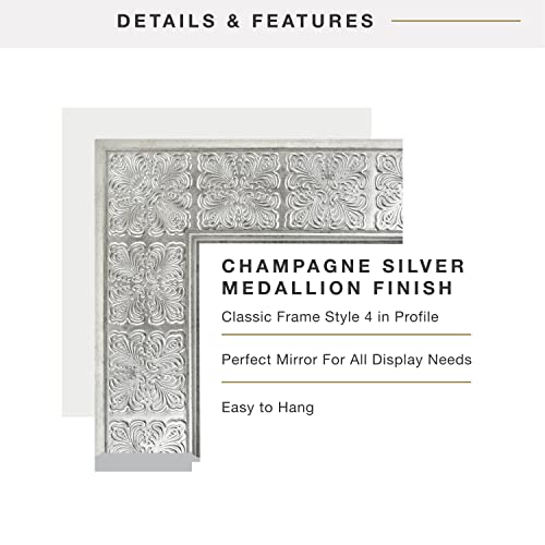 MCS 24x36 Inch Stamped Medallion Wall Mirror, 32x44 Inch Overall Size, Champagne Silver (47700), 32 by 44-Inch