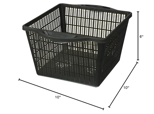 Laguna Sturdy Plastic Square Planting Basket, 6-Inch