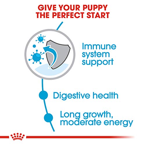 Royal Canin Large Puppy Dry Dog Food, 18 lb bag