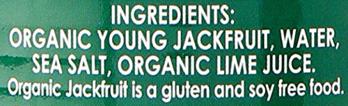 Native Forest Organic Young Jackfruit, 14 oz