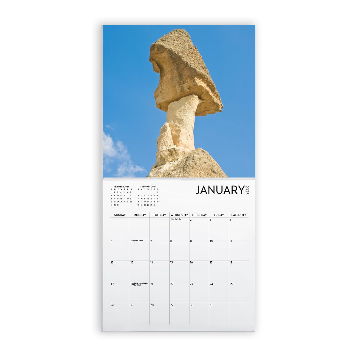 Wall Calendar 2025, 12 x 12 inch, Funny Gift, White Elephant, Gag Gift, Secret Santa… (Nature's Dicks)