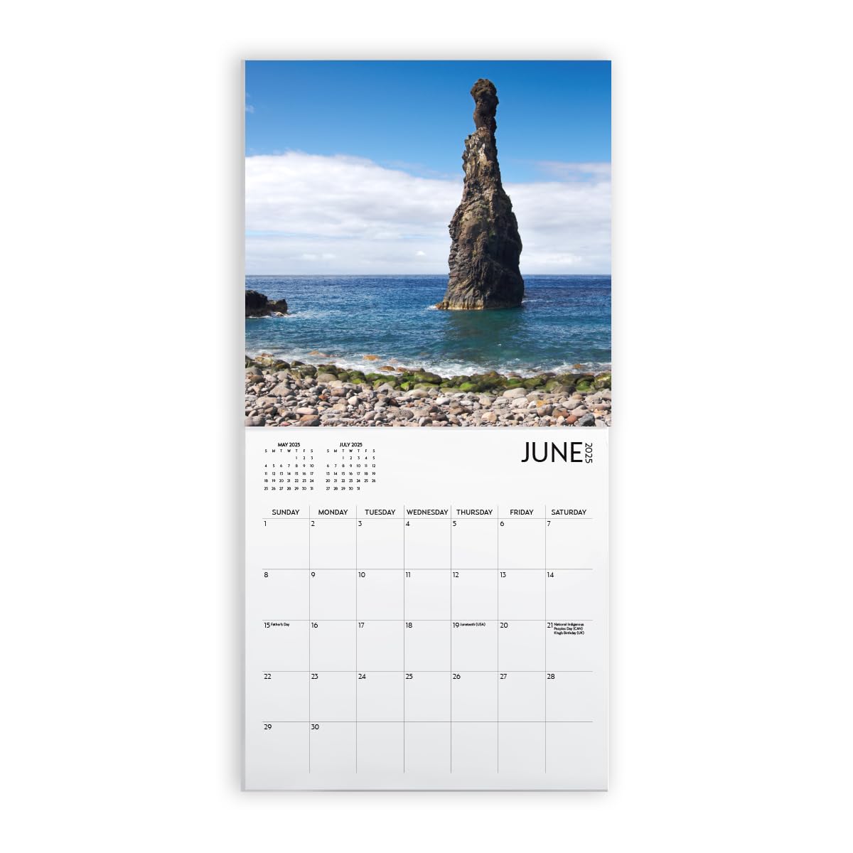 Wall Calendar 2025, 12 x 12 inch, Funny Gift, White Elephant, Gag Gift, Secret Santa… (Nature's Dicks)