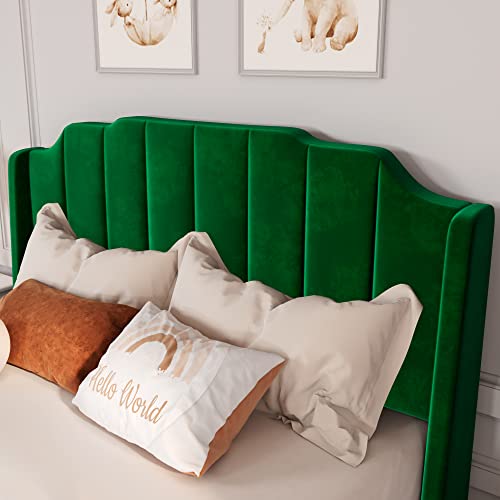 Allewie Queen Size Velvet Bed Frame Upholstered Platform Bed with Vertical Headboard and Footboard, Solid Wood Leg and Strong Slats Support, No Box Spring Needed, Easy Assembly, Green