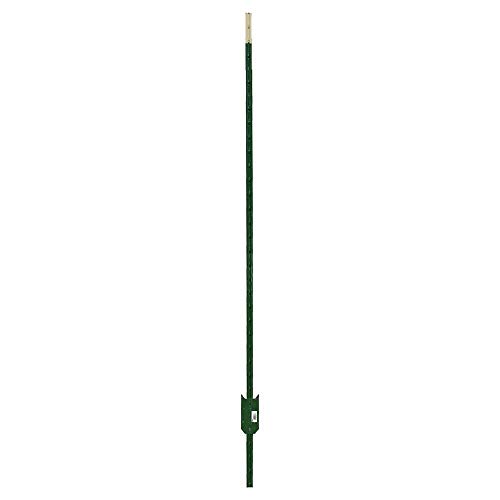 Everbilt Powder-Coated Green Steel Fence T-Post, 1.75"L x 3.5"W, Set of 12, Choose Length (5 Ft.)
