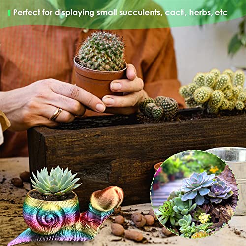 KEEP HOTTER Turtle Planter,Penis Planter,Turtle Planters for Outdoor Plants,Funny Planter,Penis Decor for Succulent Plants,Plant Pots for Fun Planting Experience for Home Office Desk Mini Ornament