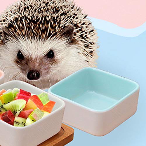 FUUIE Bowls for Food and Water Pet Bowl/Pet Universal/Ceramic/Orange Gray Blue/Bite and Anti-Turnover Easy to Clean