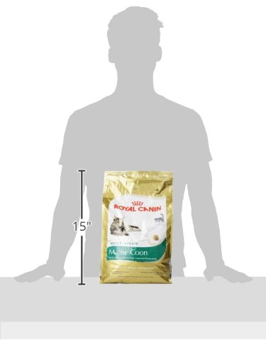 Royal Canin Maine Coon Breed Adult Dry Cat Food, 6 lb bag