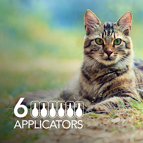 TevraPet Actispot II Flea Treatment for Small and Medium Cats 5-9 lbs | 6 Doses | Powerful Prevention and Control, Clear