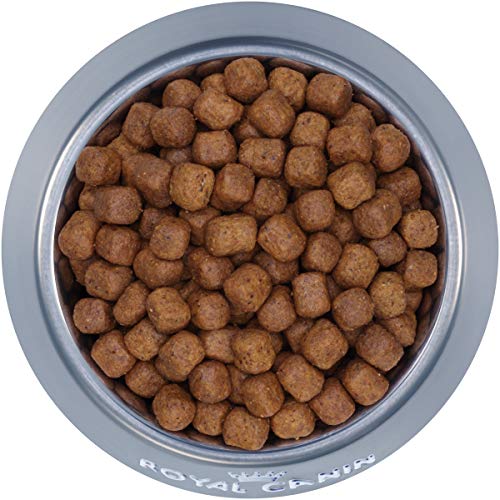 Royal Canin Maine Coon Breed Adult Dry Cat Food, 6 lb bag