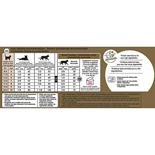Royal Canin Maine Coon Breed Adult Dry Cat Food, 6 lb bag