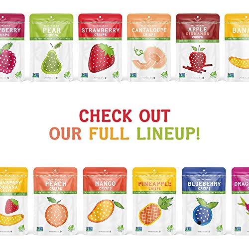 Nature’s Turn Freeze-Dried Fruit Snacks, Mega Variety Pack of 16 (0.53 oz Each)