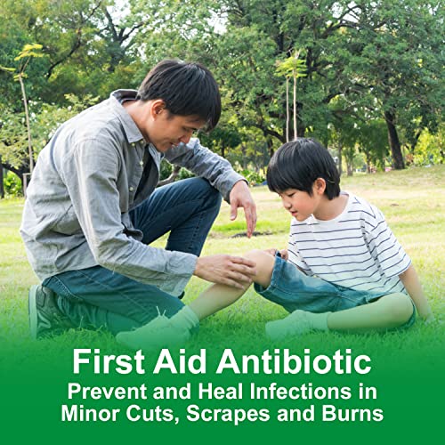 (3 Pack) CareALL 1oz Bacitracin Antibiotic Zinc Ointment. First Aid Ointment to Prevent and heal infections for Minor cuts, scrapes and Burns.