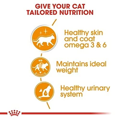 Royal Canin Feline Multipack Intense Beauty Cat Food in Jelly 12x85g (1.02kg)