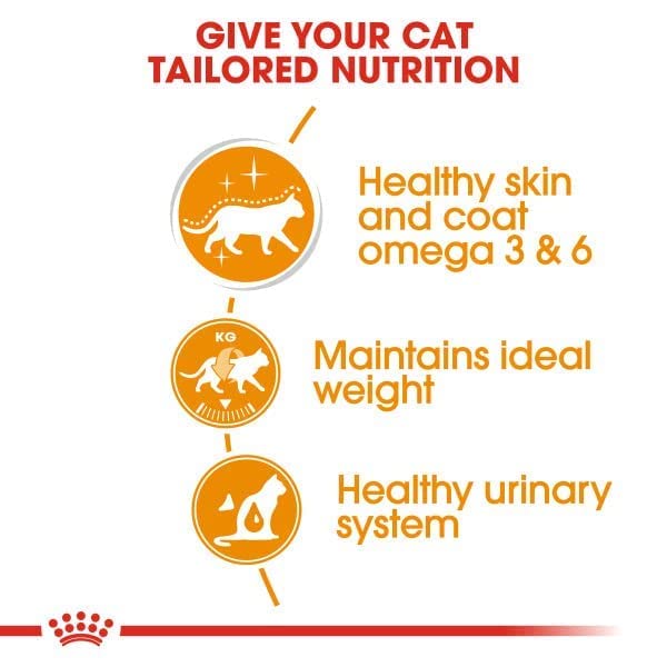 Royal Canin Feline Multipack Intense Beauty Cat Food in Jelly 12x85g (1.02kg)