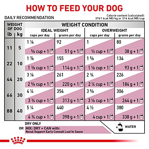 Royal Canin Veterinary Diet Canine Renal Support Early Consult Dry Dog Food, 5.5 lbs.