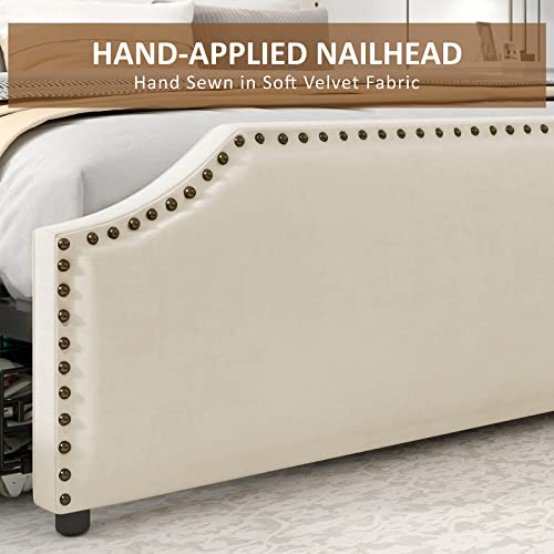 AMERLIFE Queen Size Bed Frame with 4 Storage Drawers and Headboard, Queen Velvet Upholstered Platform Bed with Rivet Curved Adjustable Headboard/Strong Wooden Slats/Easy Assembly/Cream
