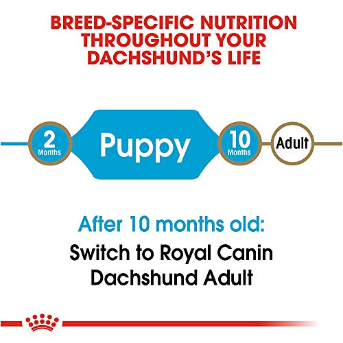 Royal Canin Breed Health Nutrition Dachshund Puppy Dry Dog Food, 2.5 lb