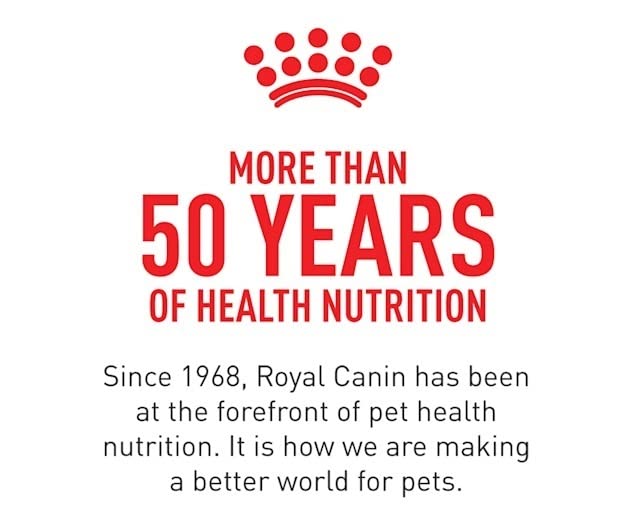 Royal Canin Feline Urinary Care Thin Slices in Gravy Wet Cat Food, 3 oz., Count of 12 Cans. (Packaging May Vary), 3 Ounce (Pack of 12)