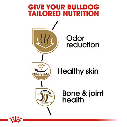 Royal Canin Bulldog Adult Dry Dog Food, 30 lb bag