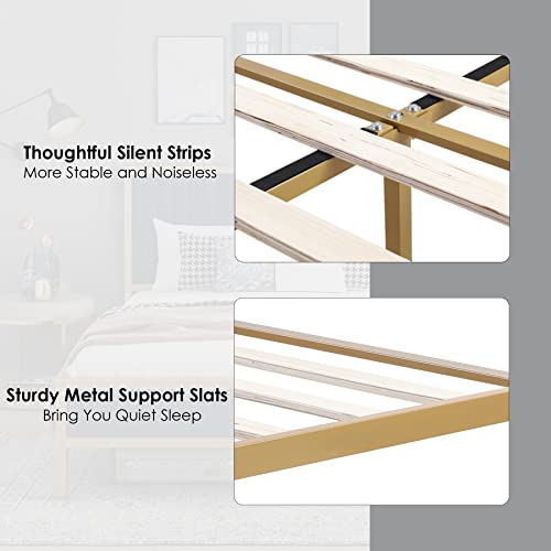 HIFIT Bed Frame Queen Size, Queen Bed Frame with Headboard, Heavy Duty Metal Foundation, Upholstered Bed Frame with Velvet Tufted Headboard, Wood Slat Support, No Box Spring Needed, Gold & Navy Blue