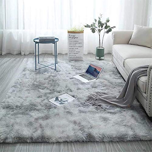 Fuzzy Abstract Area Rugs for Bedroom Living Room Fluffy Shag Fur Rug for Kids Nursery Dorm Room Cozy Furry Rugs Plush Throw Rug Shaggy Decorative Accent Rug for Indoor Home Floor Carpet