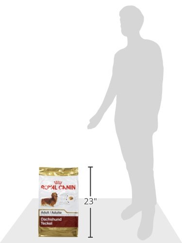 Royal Canin Dachshund Adult Breed Specific Dry Dog Food, 10 lb bag